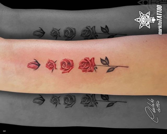 Markito Tattoo Studio | TattooMenu